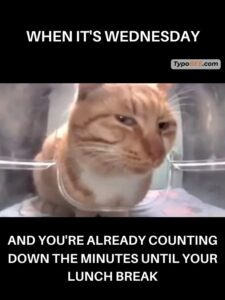 20 Free Funny Good Morning Memes: for Her, For Him, for Work, etc. 😁⛅ ...